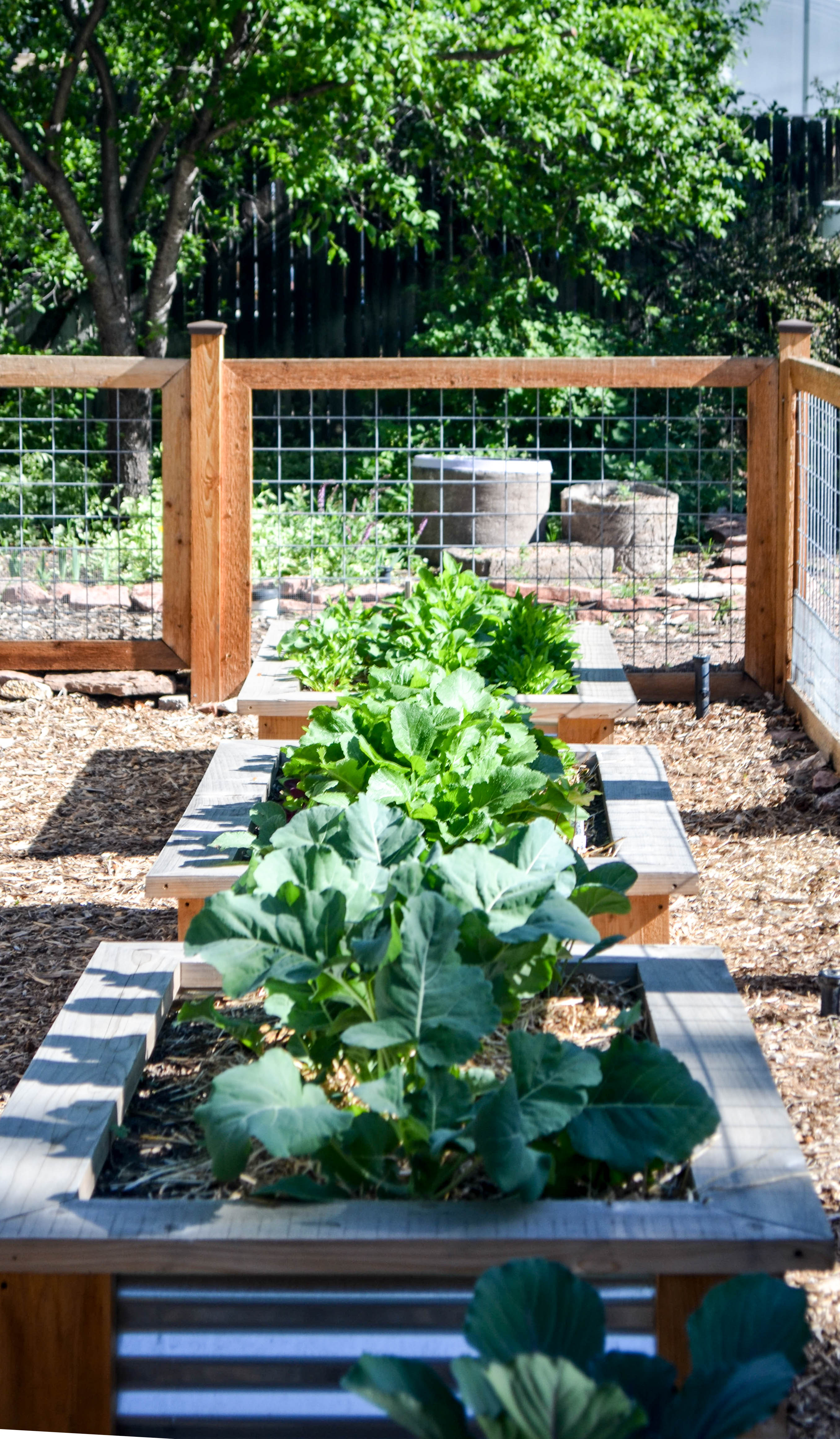 Garden Projects | Horticultural Art Society